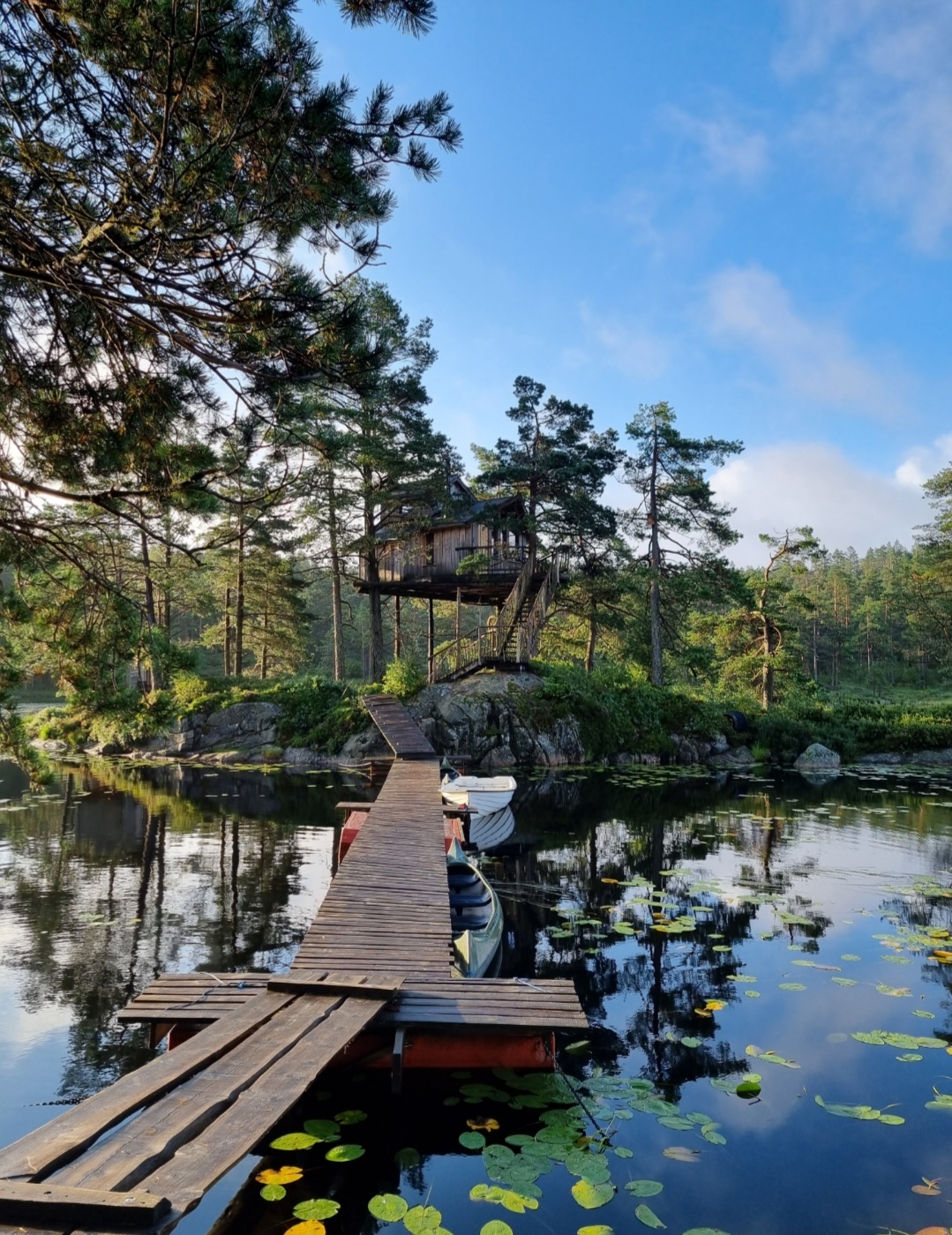 Treetop Cabin Retreat: Experience Southern Norway's Wilderness ...